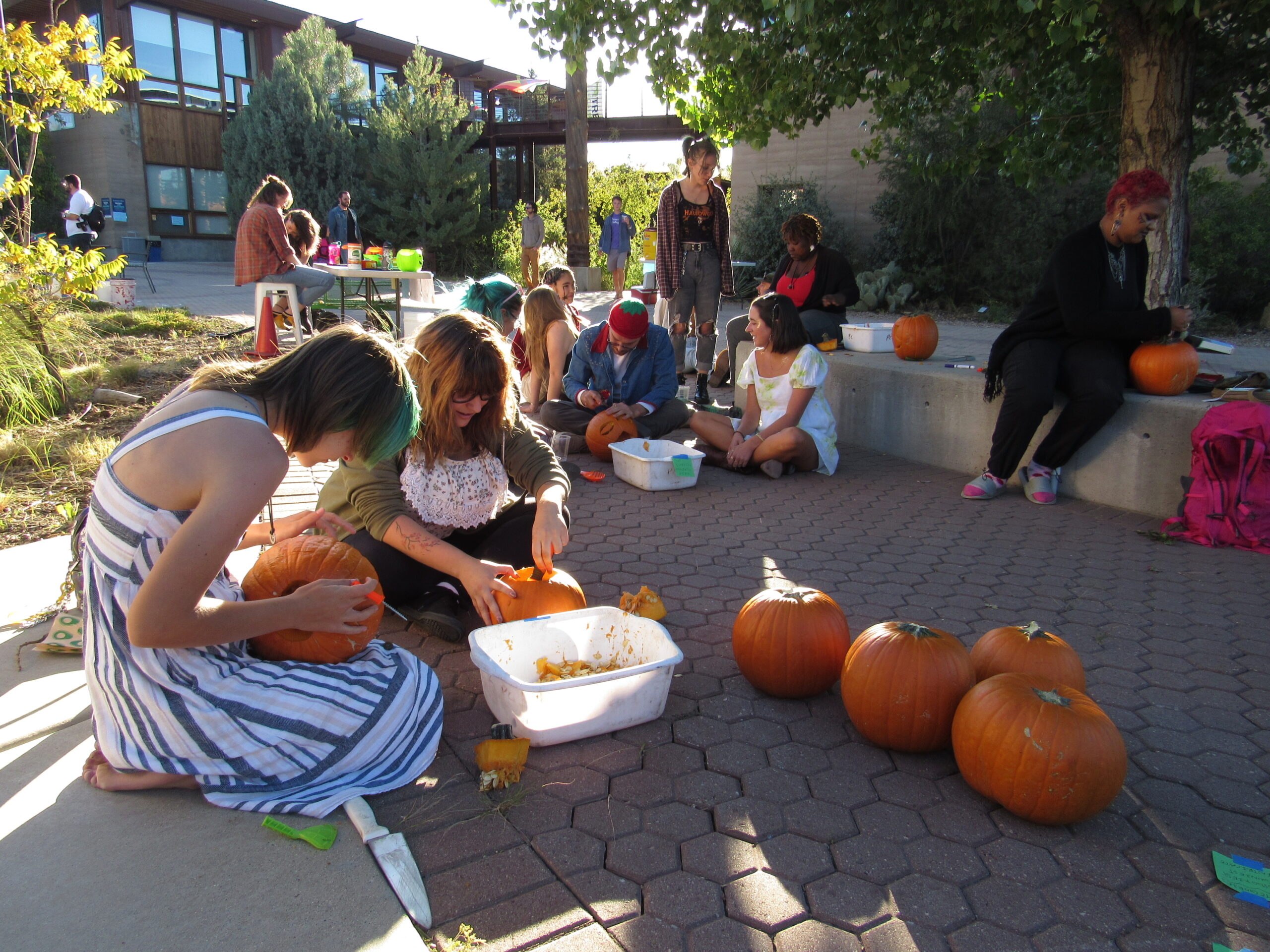 Third Annual Fall Harvest Festival to Take Place on October 7th ...