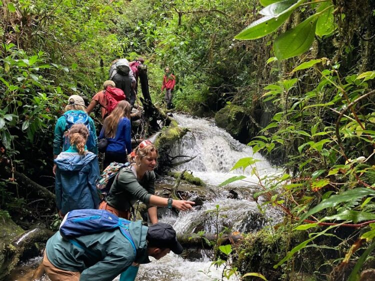 Bachelor's Degree - Prescott College